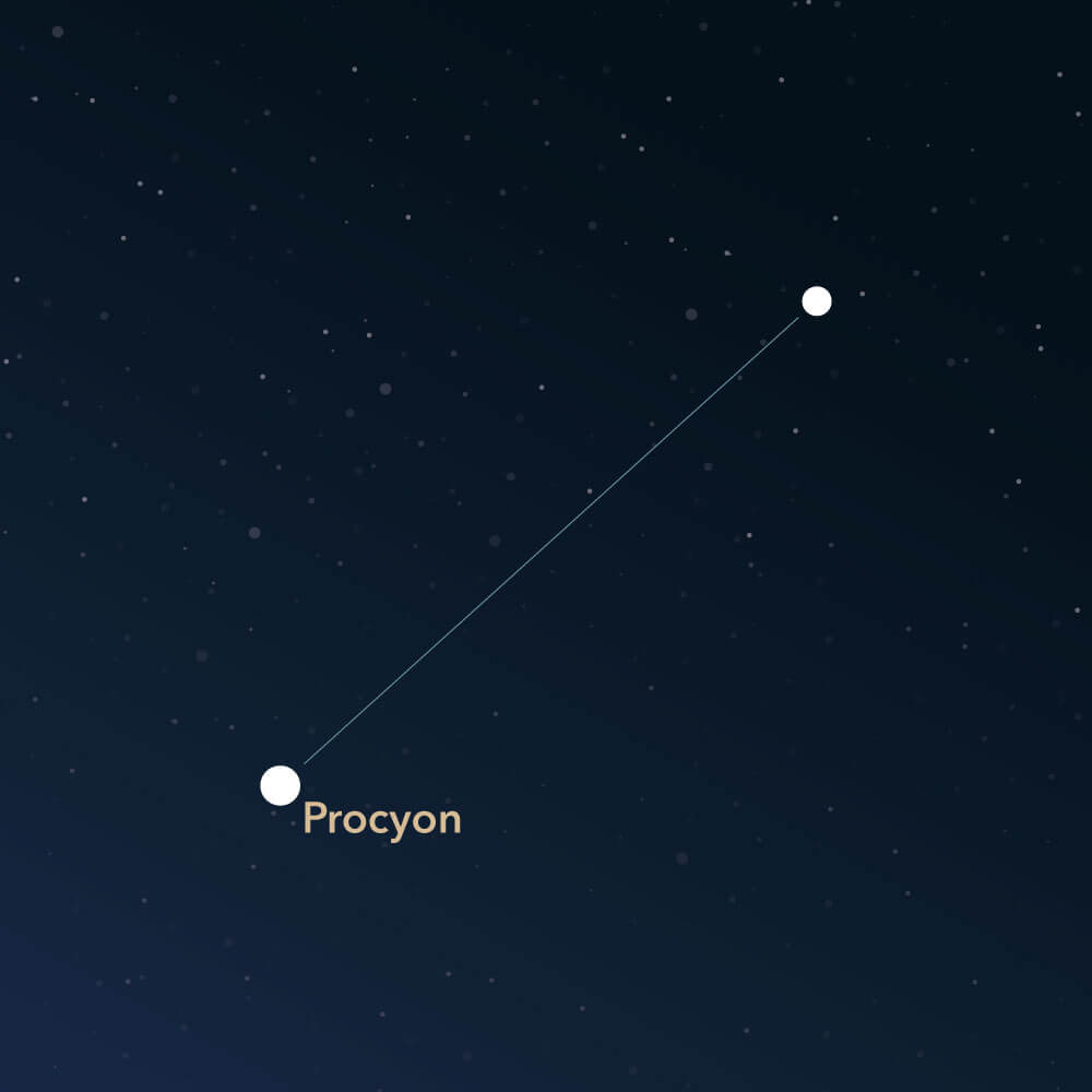 Procyon Constellation